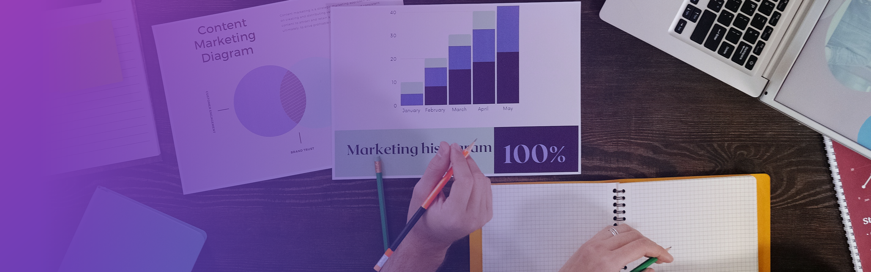 SEO Specialist (Jr. Position Available) at 8 Isles Sdn. Bhd | Hiredly ...